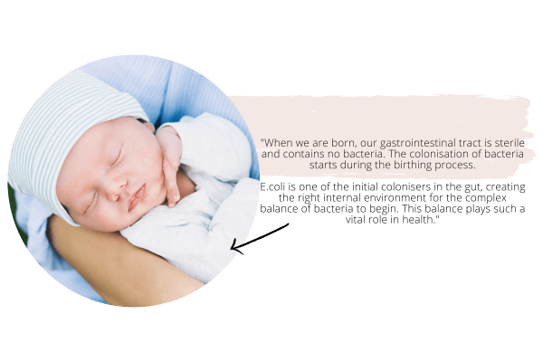 The E-coli Strain 'Nissle 1917' (Mutaflor) A Powerful Probiotic