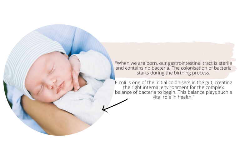 The E-coli Strain 'Nissle 1917' (Mutaflor) A Powerful Probiotic