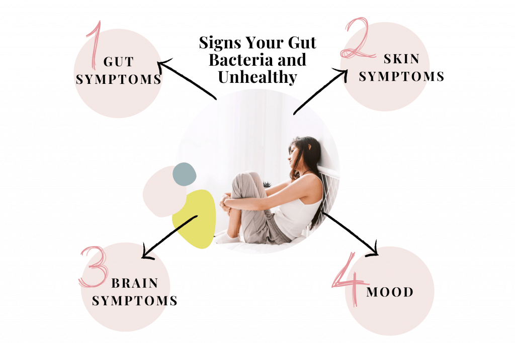The Gut-Immune System Connection | Prana Thrive