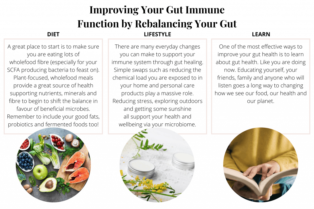 The Gut-Immune System Connection | Prana Thrive
