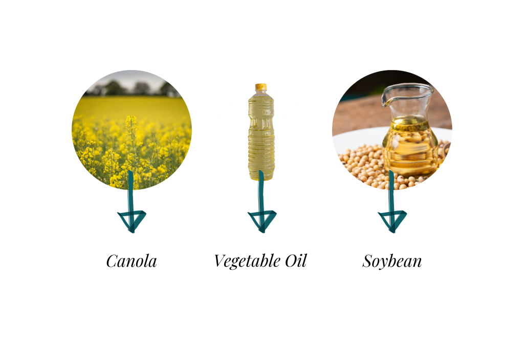 Gut Bacteria And Weight: Everything You Need To Know | Prana Thrive