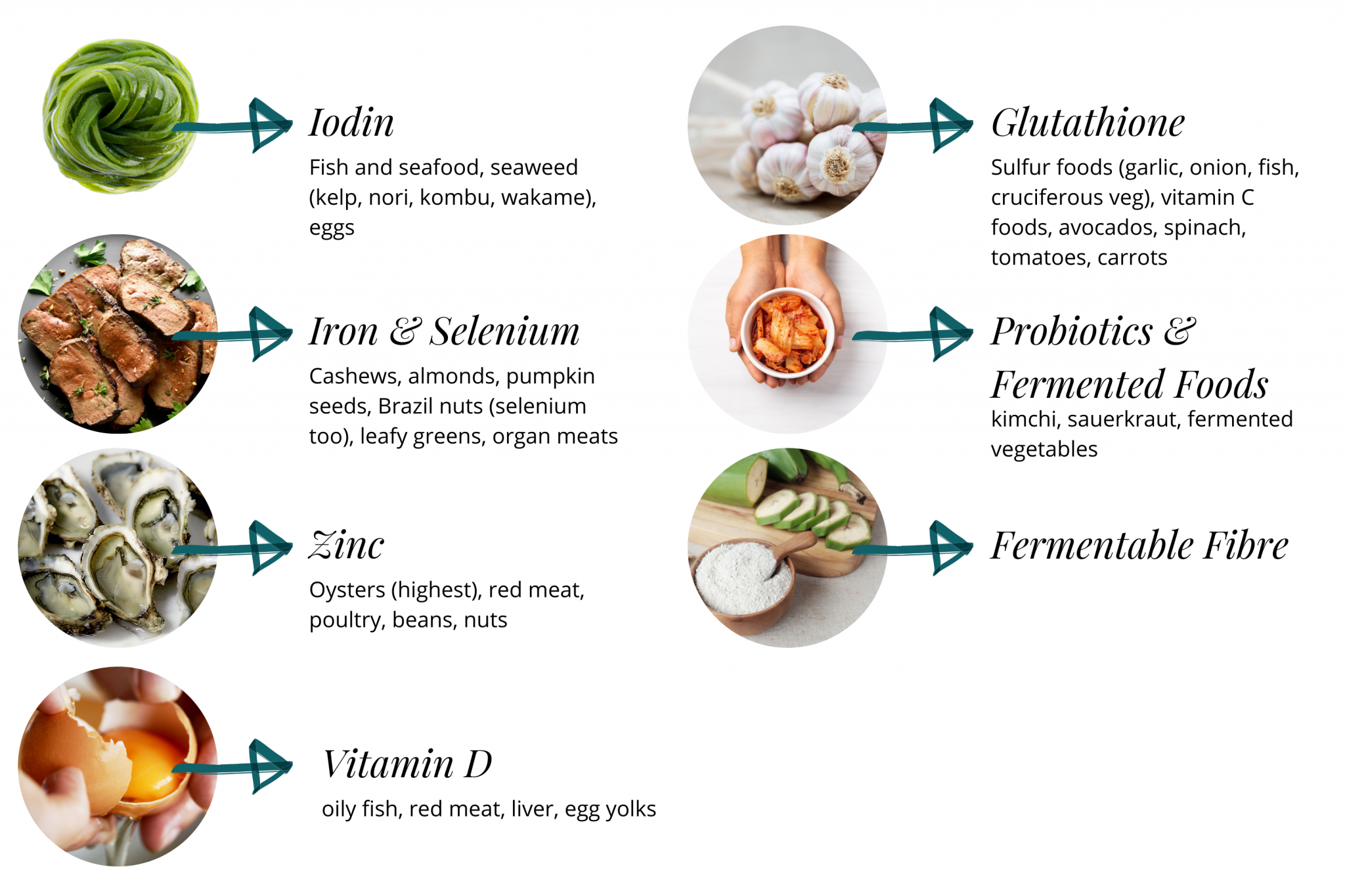 Gut-Thyroid Connection: How Your Gut Bacteria Influence Thyroid Health ...