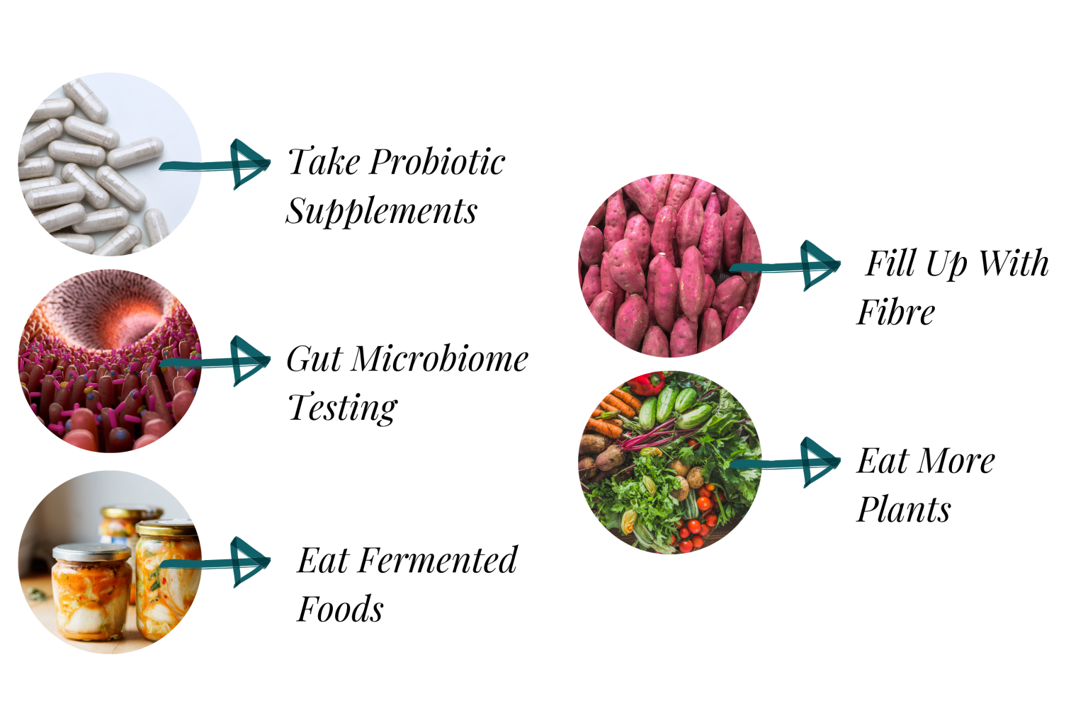 How You Can Harness Psychobiotics To Soothe Stress (specific Strains ...