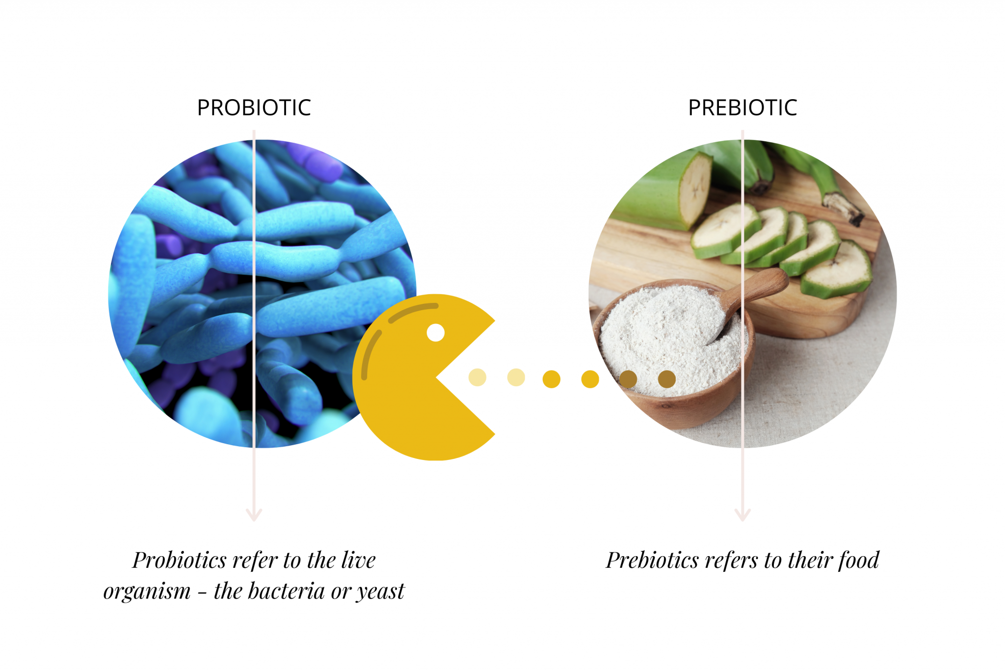 Probiotics: How To Choose The Best One For You (including 22 Of The ...