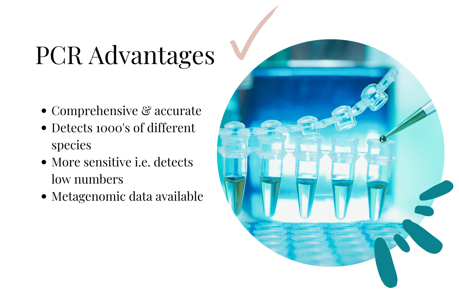 Understanding Gut Microbiome Testing: A Key Component Of Our Gut Health ...
